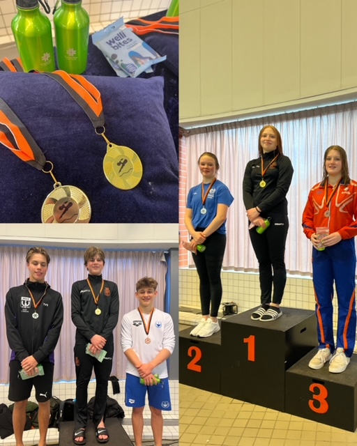 Stockholmspolisens IF Simhopp