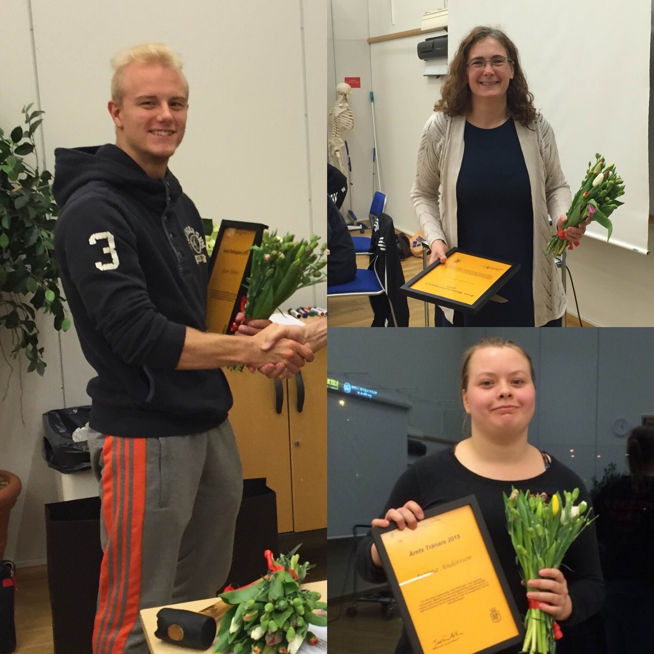 Stockholmspolisens IF Simhopp