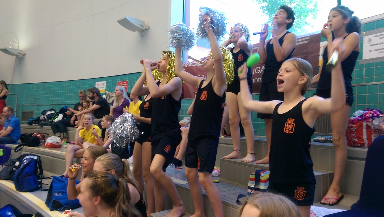 Stockholmspolisens IF Simhopp